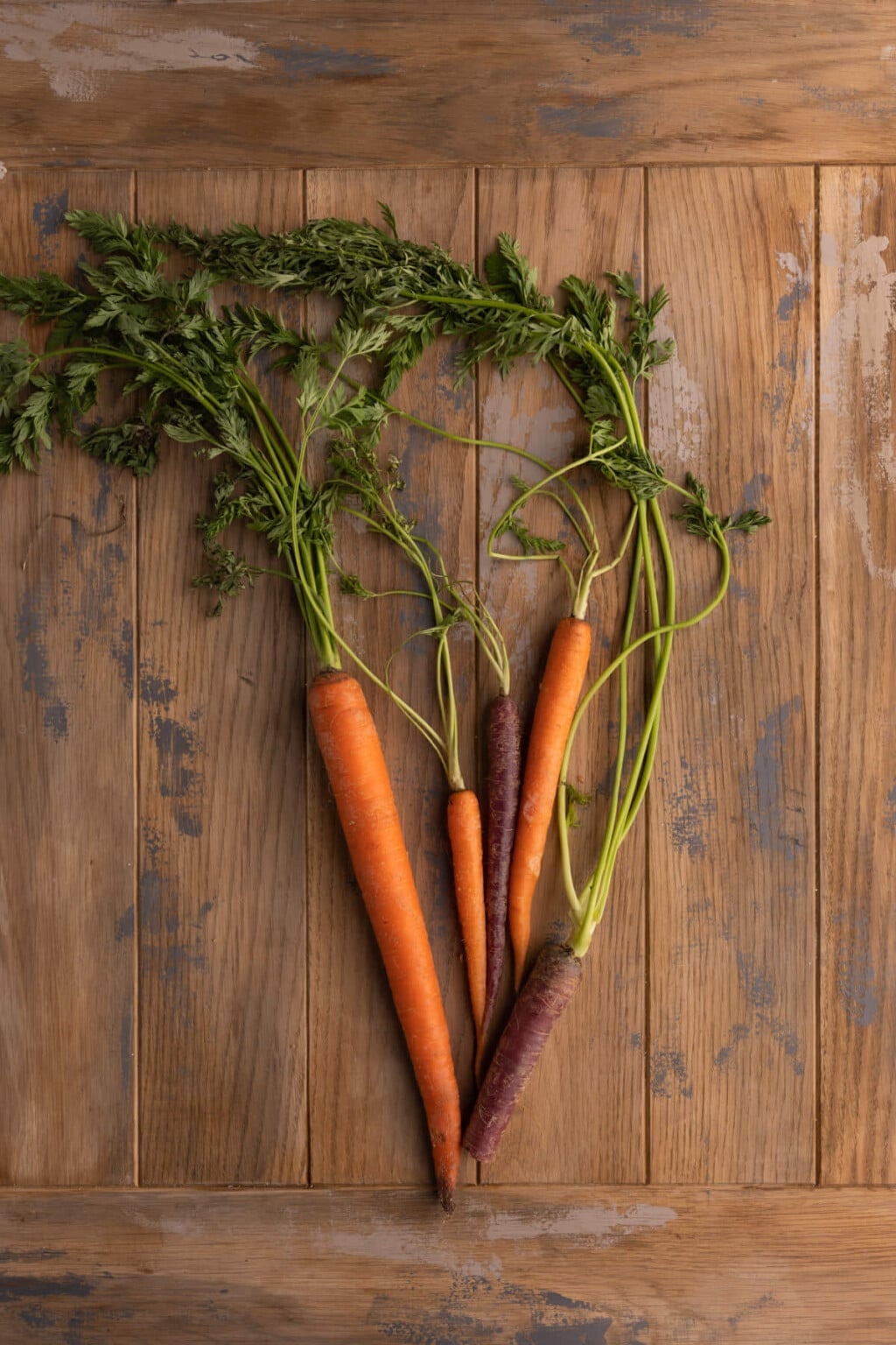 5-Minute Carrot Top Pesto — Marley's Menu