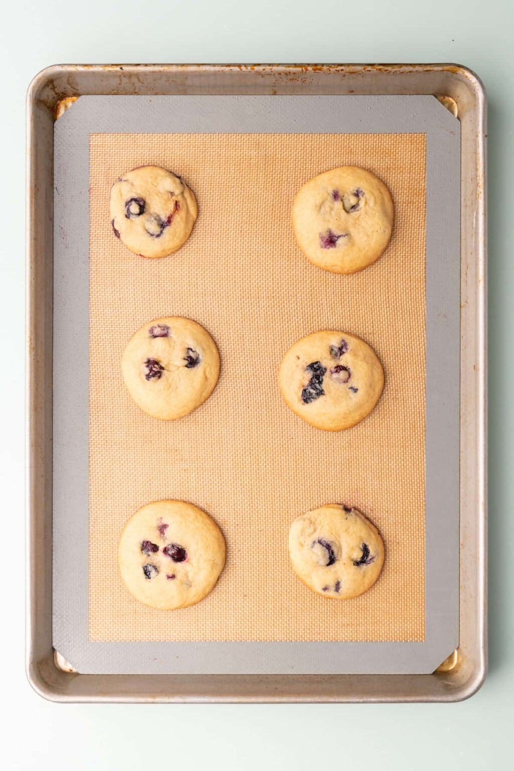 30-Minute Chewy Blueberry Cookies — Marley's Menu