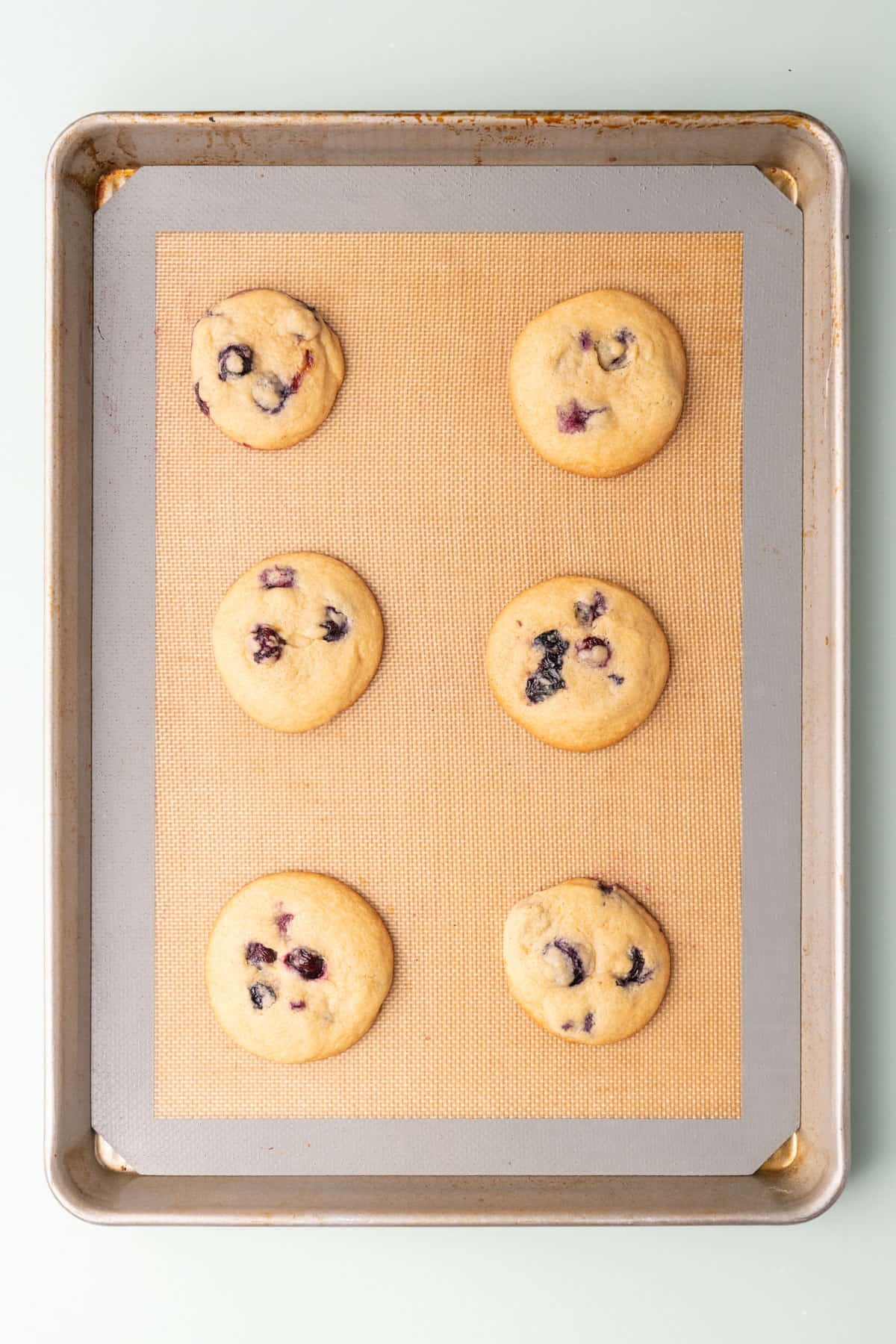 30-Minute Chewy Blueberry Cookies — Marley's Menu