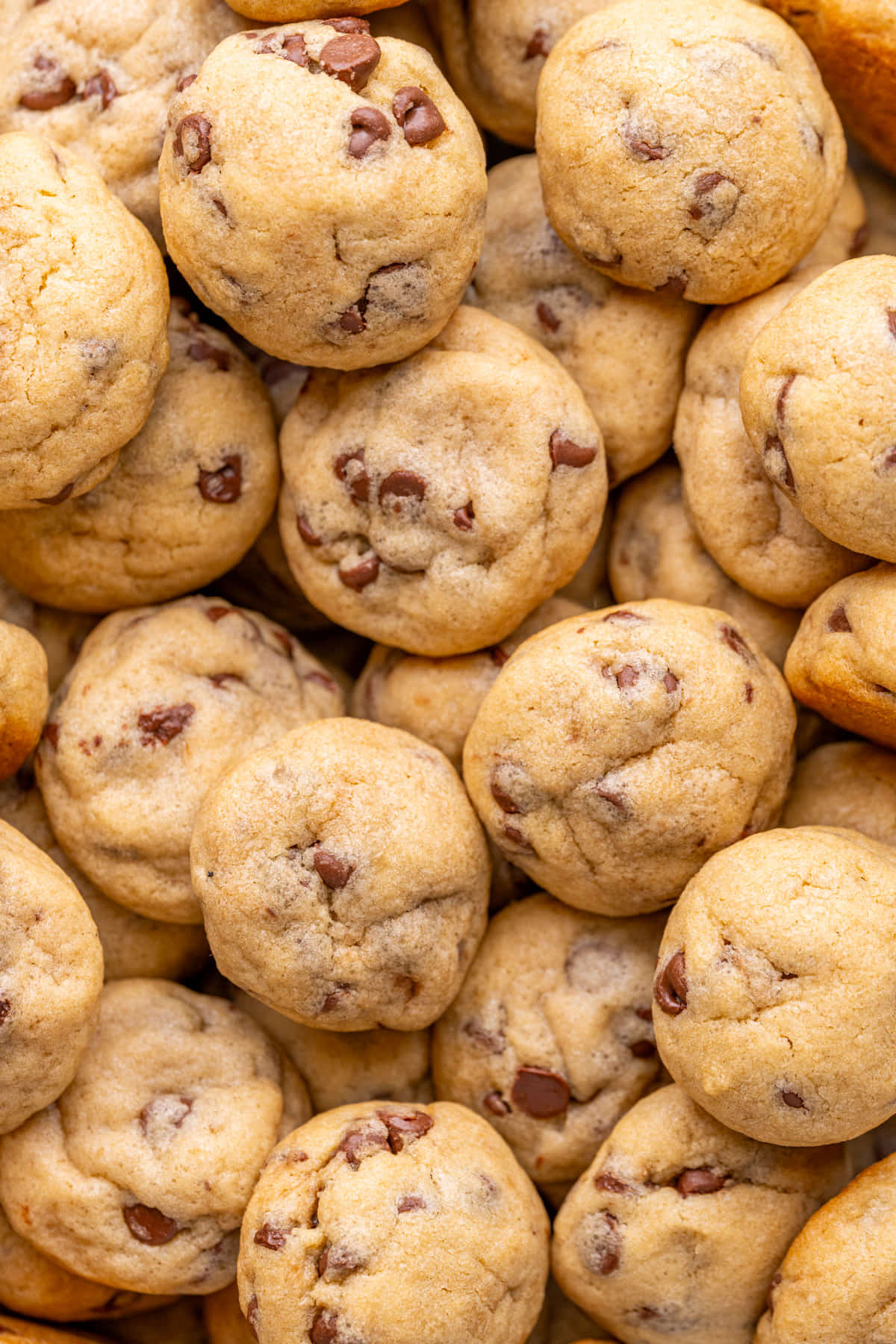 Soft Mini Chocolate Chip Cookies (30 Minutes!) — Marley's Menu
